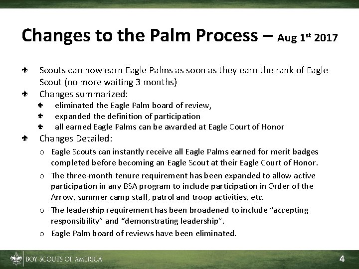Advancement Education BSA Eagle Palms Life to Eagle