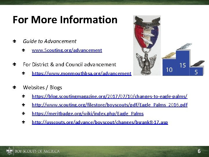 Advancement Education BSA Eagle Palms Life to Eagle