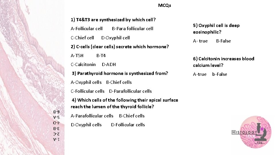 THYROID PARATHYROID GLANDS Color index Slides Important Notes