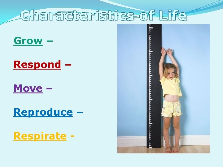 Anatomy Physiology Anatomy structure morphology of body parts