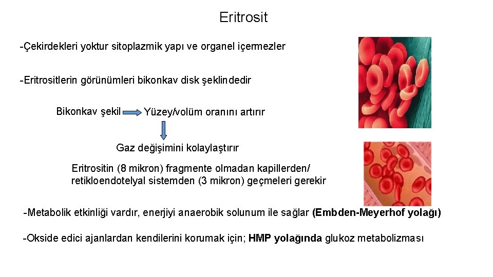 Periferik yayma Prof Dr Bar Kukonmaz Hacettepe niversitesi