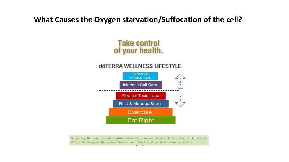 The 2 BIGGEST discoveries of my life Important