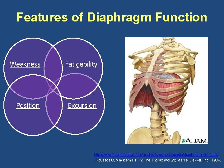 Diaphragm Mechanics and the Developing Chest Gregory J