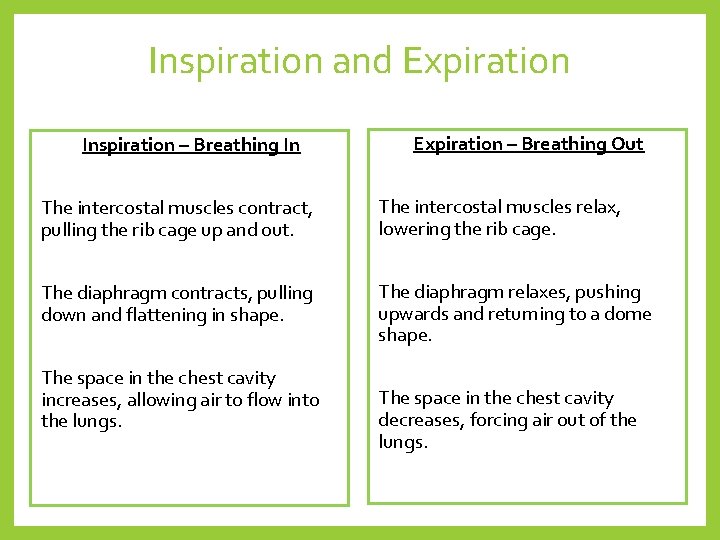 RESPIRATORY SYSTEM Learning Objectives To be able to