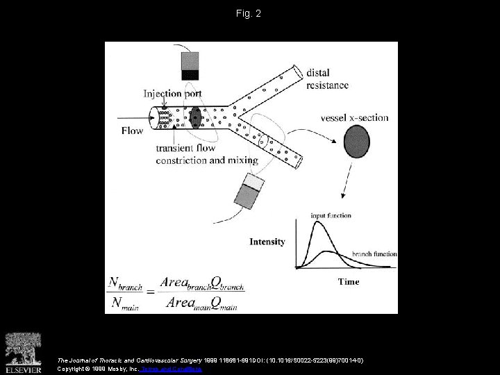 Bidirectional superior cavopulmonary anastomosis improves mechanical ...