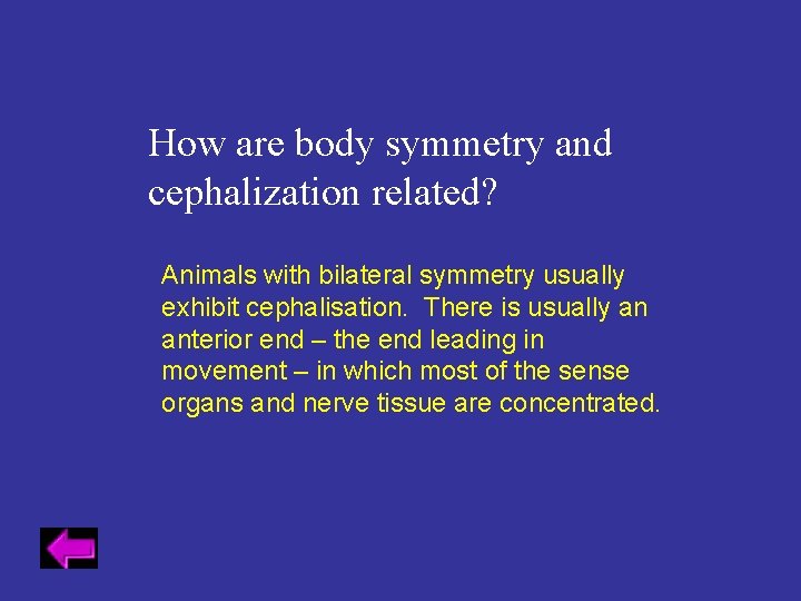 Invertebrates Jeopardy Animal Kingdom Sponges Cnidarians Flatworms ...
