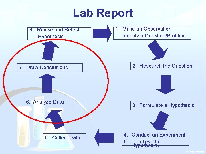 The Scientific Method cont Chapter 1 Lab Report