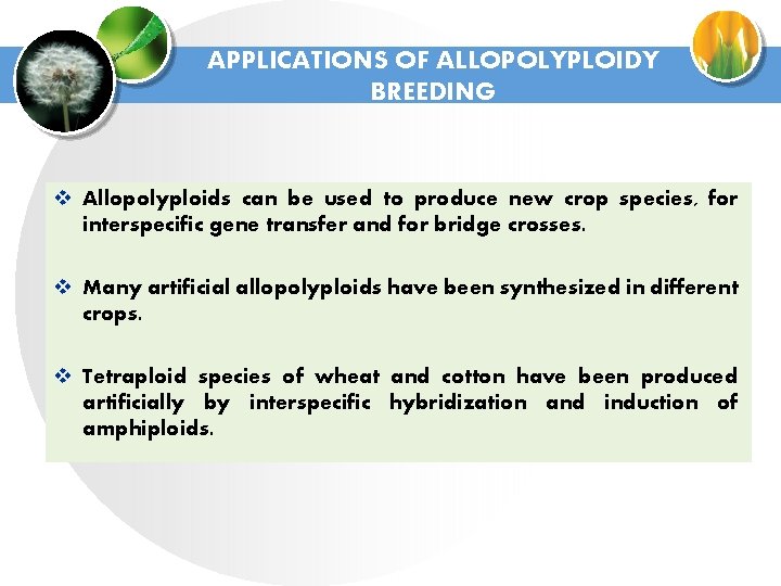 Plant breeding concepts ABT320 Dr Rabia Amir Lecture