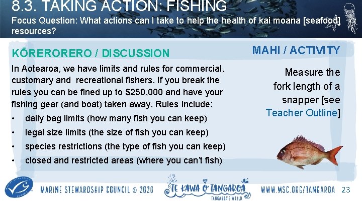 8 3 TAKING ACTION FISHING Focus Question What