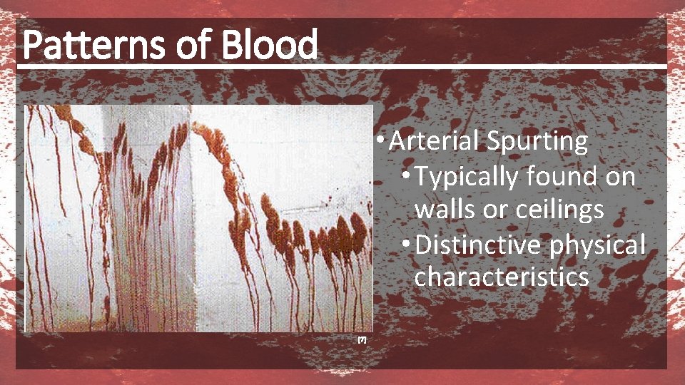 Bad Blood A Crime Scene Investigators Nightmare Jessica