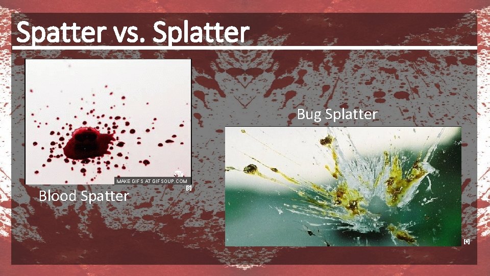 Bad Blood A Crime Scene Investigators Nightmare Jessica