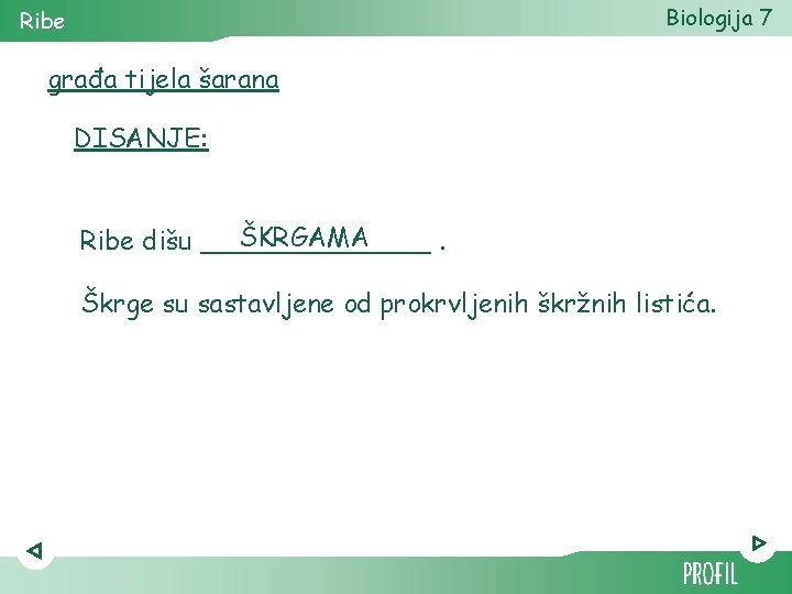 Biologija 7 Ribe RIBE Biologija 7 Ribe Morski