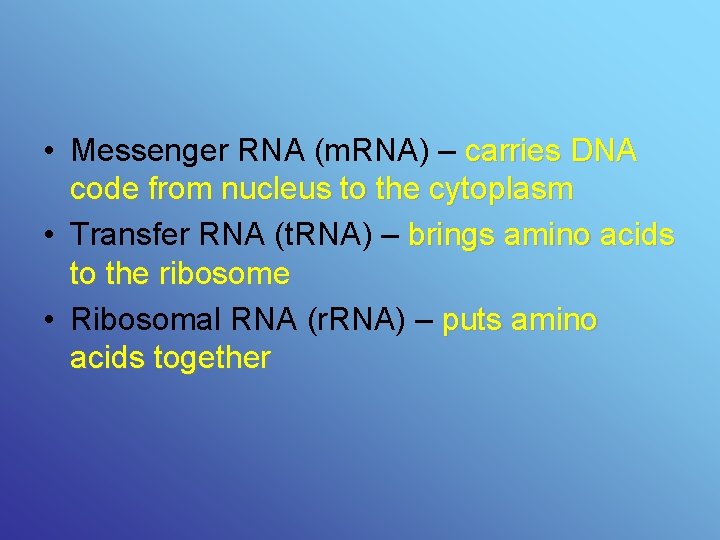 Nucleic Acids DNA Deoxyribonucleic Acid The structure of