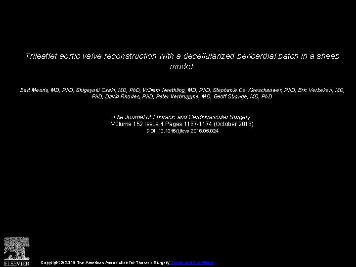 Trileaflet aortic valve reconstruction with a decellularized pericardial