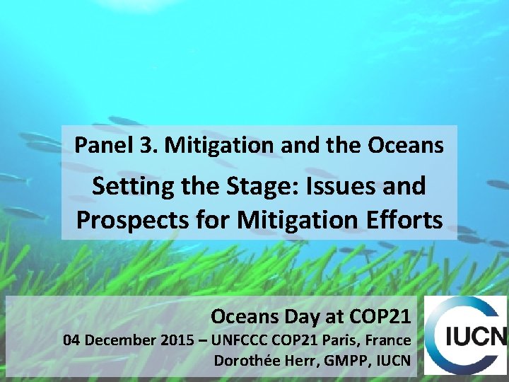 Panel 3 Mitigation and the Oceans Setting the