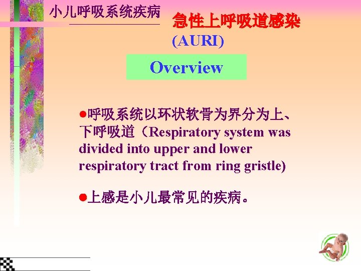 AURI Overview Respiratory system was divided into upper