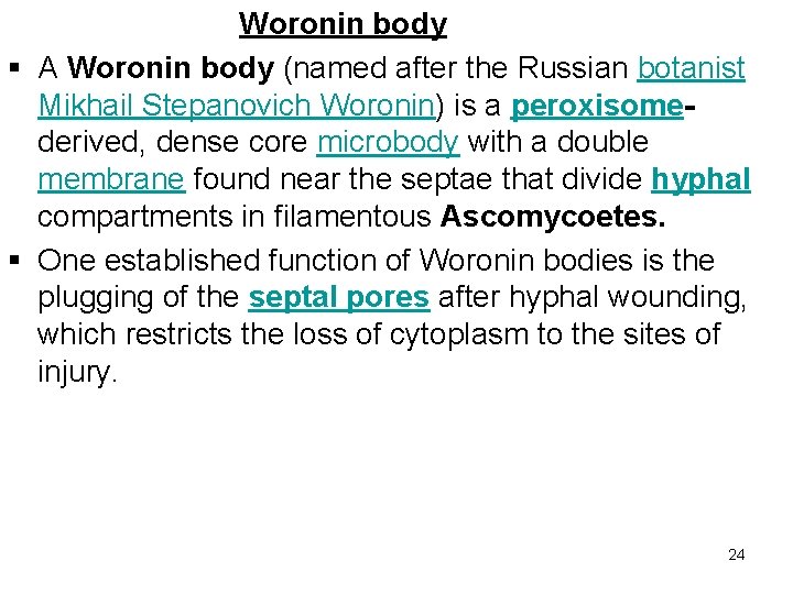 Organelles for breakdown 1 Lysosomes Structure 1Membranous organelles