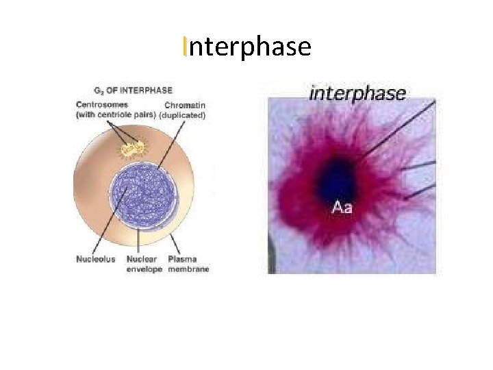 Have your body changed in the pass six