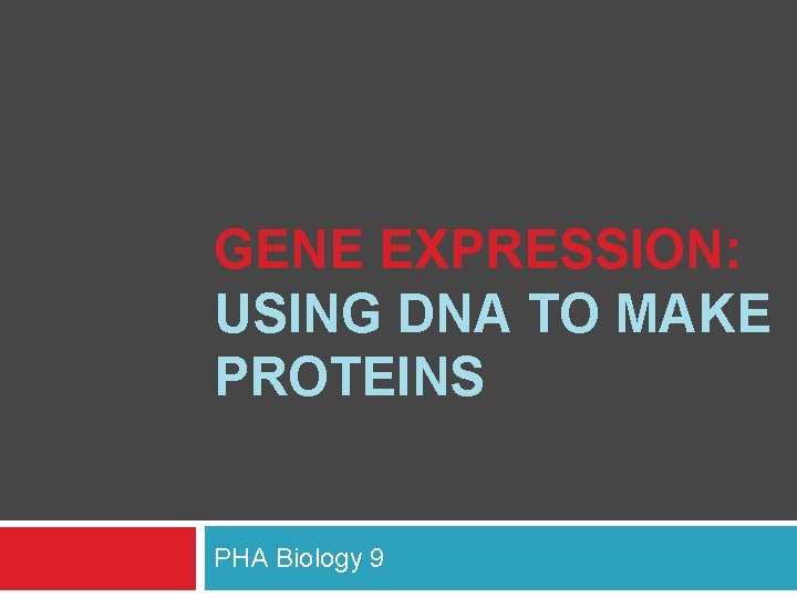GENE EXPRESSION USING DNA TO MAKE PROTEINS PHA