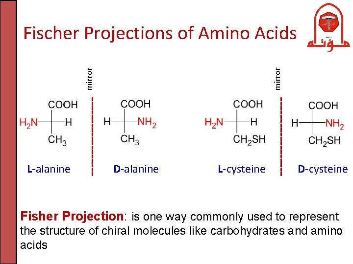 Amino Acids 1 Dr Nesrin Mwafi Biochemistry Molecular