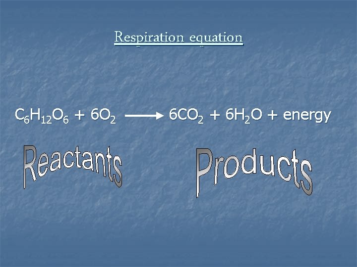 9 3 Notes Respiration Cellular Respiration outline I