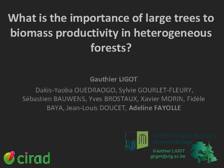 What is the importance of large trees to