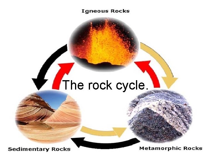 The rock cycle There are three different types