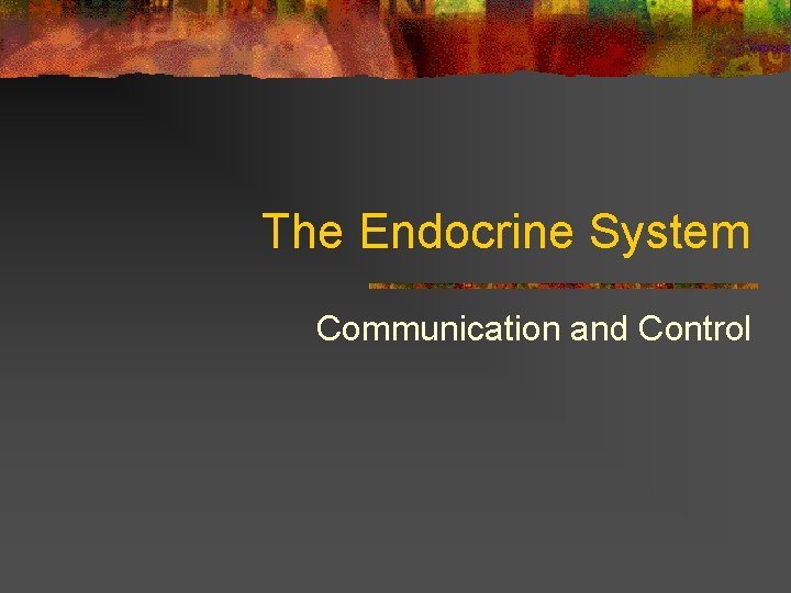 The Endocrine System Communication and Control Endocrine System
