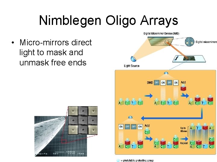 Technology for Systems Biology Nucleic Acid Hybridization In