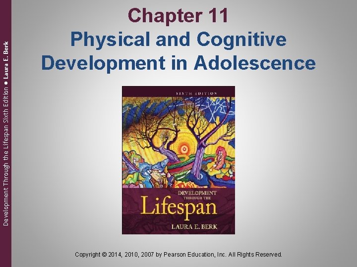Development Through the Lifespan Sixth Edition Laura E