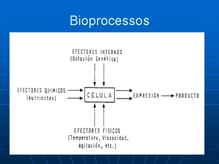 Bioprocessos Aula 2 Bioprocessos Bioprocessos Bioprocessos n n