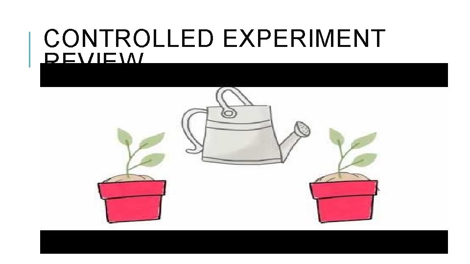 Taylor wanted to find out which brand of