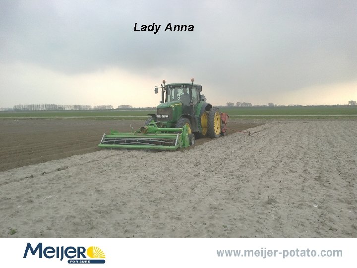 Lady Anna Use what you produce Lady Anna