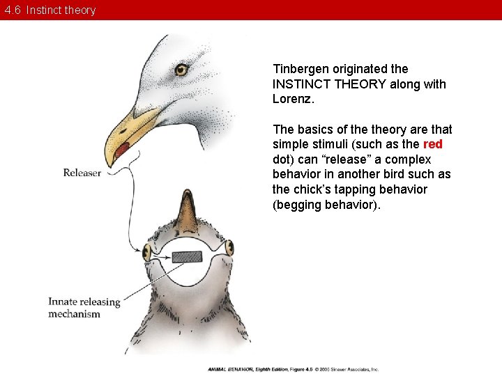 Biology 484 Ethology Topic 5 Neural Mechanisms Controlling