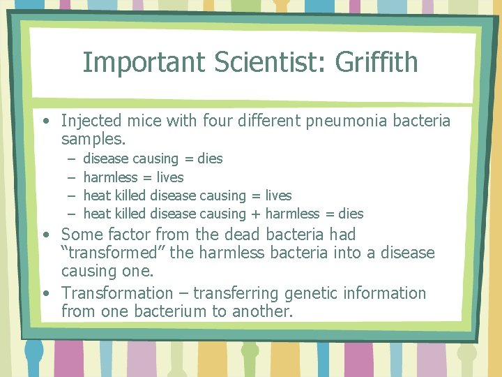 Chromosomes DNA Replication Important Scientist Griffith Injected mice