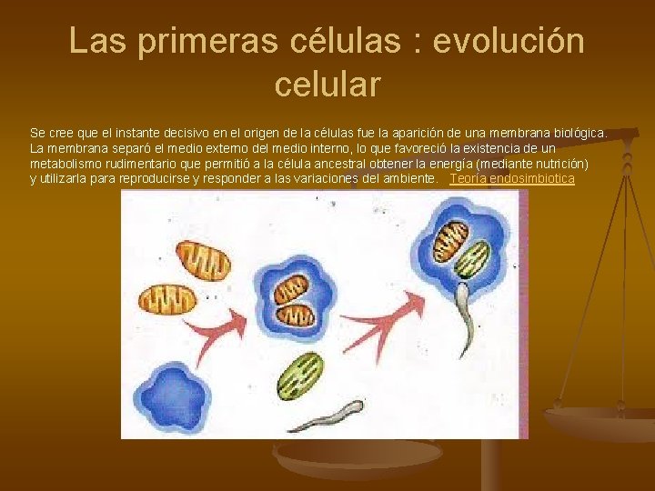 Resumen del tema 3 de CMC Nombres Patricia