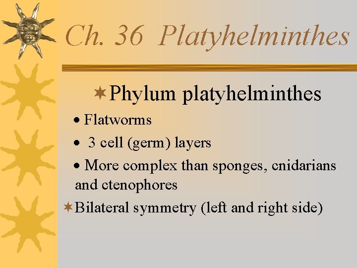Ch 36 Platyhelminthes Phylum platyhelminthes Flatworms 3 cell