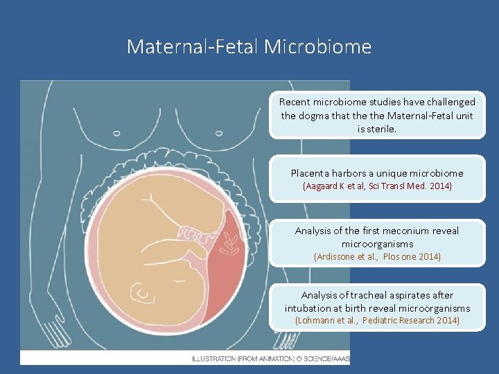 The Establishment of the Early Microbiome in Neonates