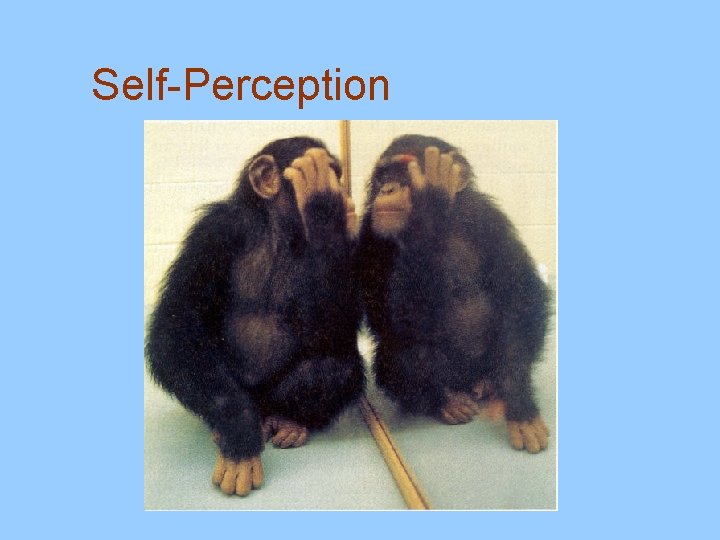 Consciousness Chapter 4 Biofeedback Biofeedback is a technique