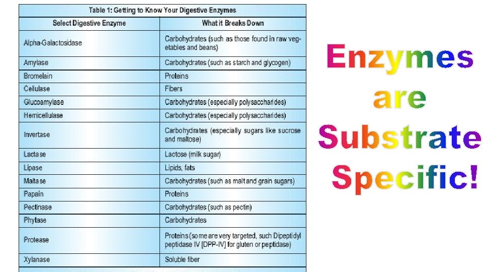 Enzymes are globular proteins that act as catalysts