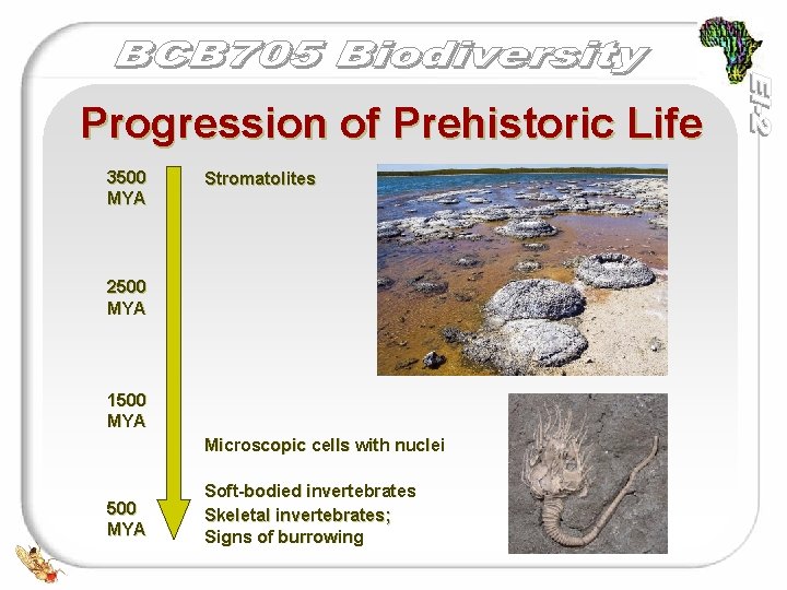 l l Vanessa Couldridge Richard Knight Available at