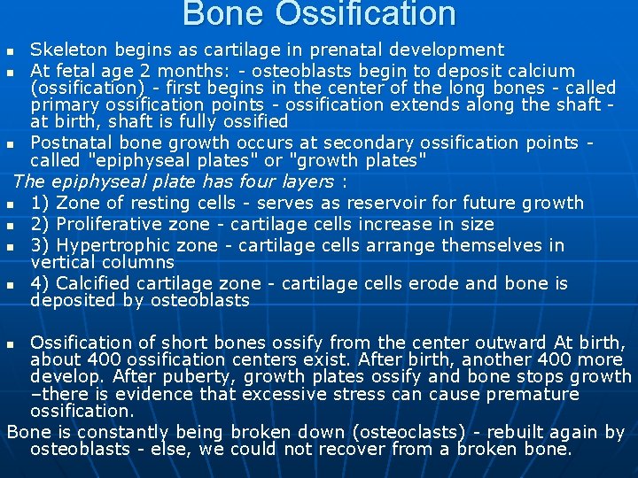 OSTEOLOGY Boneafide THE BARE BONES OF IT n