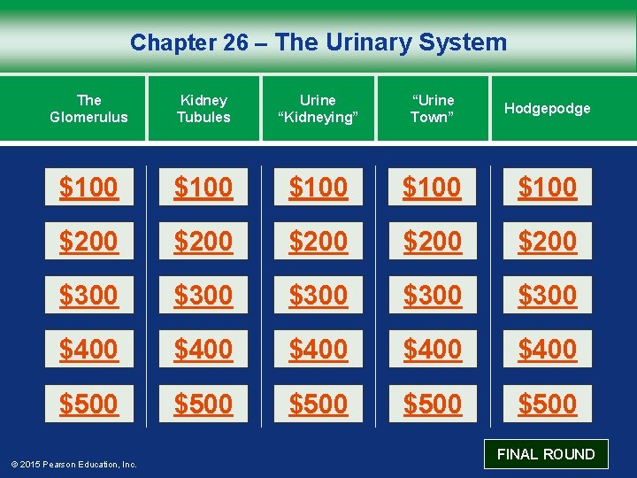 Chapter 26 The Urinary System The Glomerulus Kidney