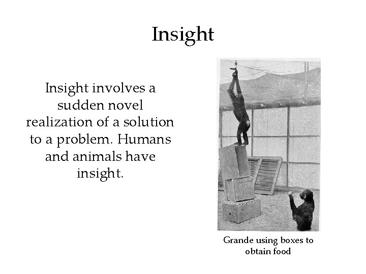 Thinking and Intelligence Chapter 9 Thinking mental manipulation