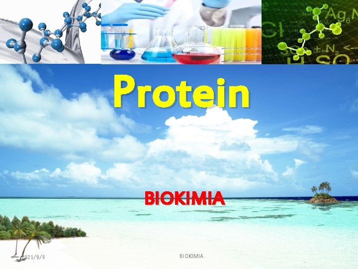 Protein BIOKIMIA 202198 BIOKIMIA Protein Protein terbentuk atas