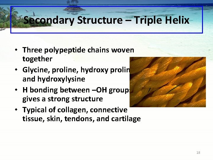 Protein BIOKIMIA 202198 BIOKIMIA Protein Protein terbentuk atas