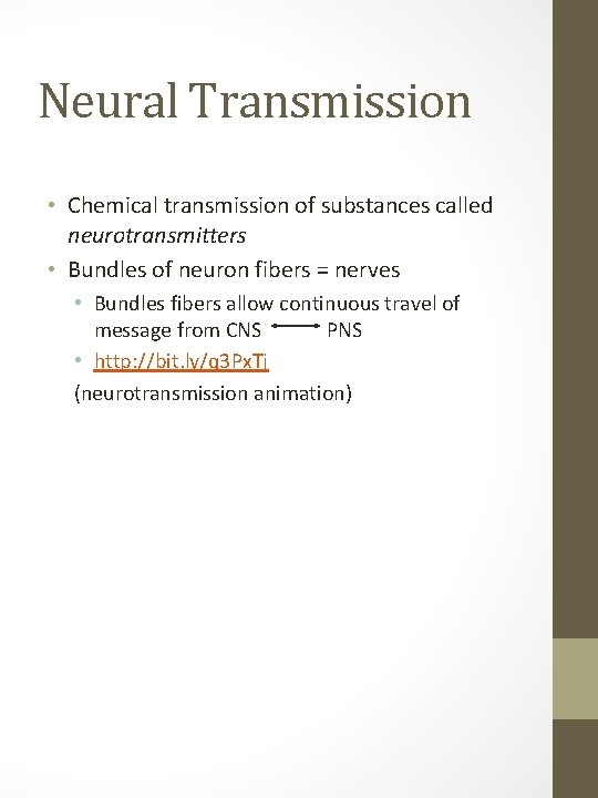 The Biology of Behavior Chapter 3 Part 1