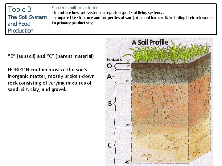 Topic 3 The Soil System and Food Production