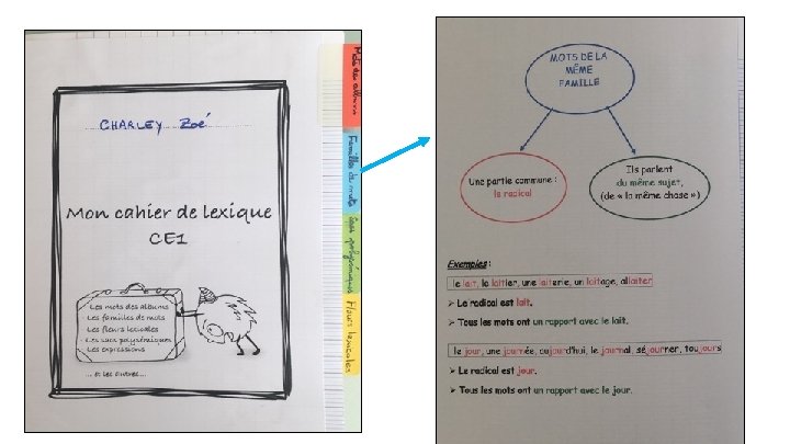 Des cahiers de lexique Nathalie Leblanc CPD Maitrise