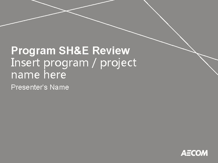 Program SHE Review Insert program project name here